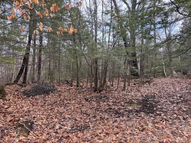 Desert Pond Rd Lot,mount Vernon, Plot For Sale