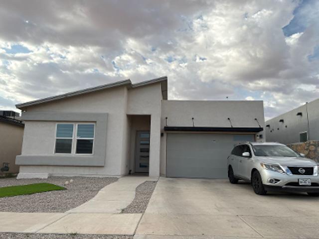 Desert Wolf Ave