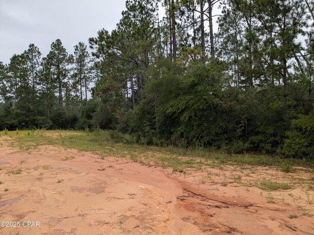 Deshutes Dr, Alford, FL 32420
