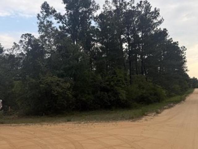 Deshutes Dr, Alford, FL 32420