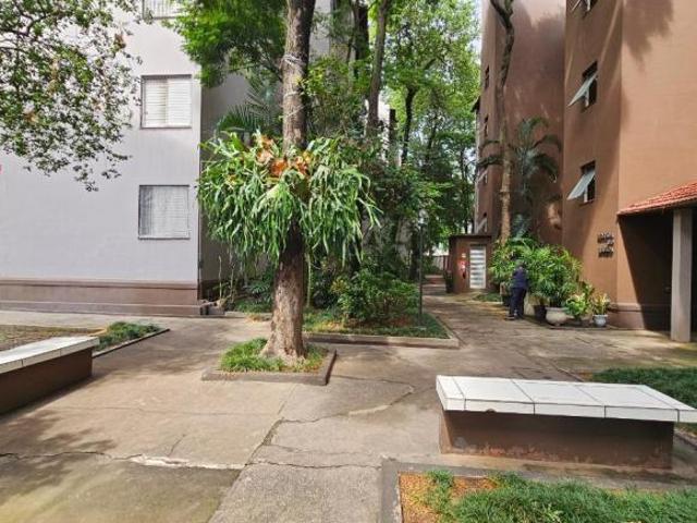 Atraente apartamento para venda em Lapa com 2 quartos, 47m² remaxmonarca#OOA4T