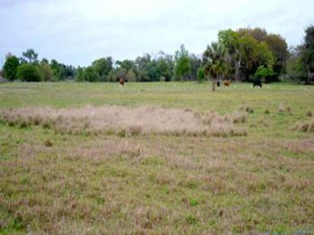 DeSoto County Highway 17 Property