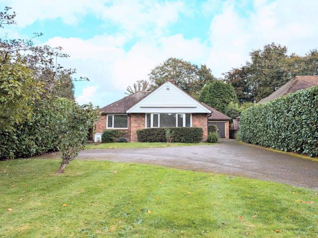 Detached Bungalow to let in Warnham Road, Horsham, RH12 RH12 2QU | Courtney Green