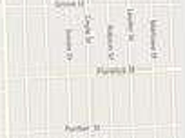 Detroit Beautiful One & Two Bedroom Apartments