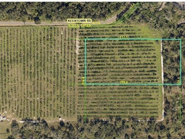 Development Land in Parrish, United States