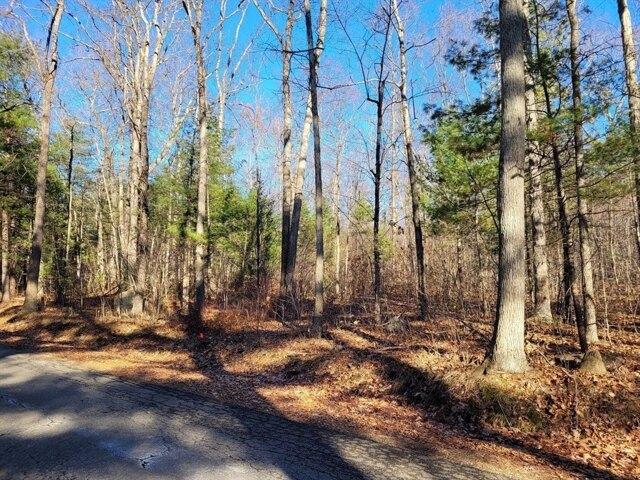 Devils Ln Lot,brimfield, Plot For Sale