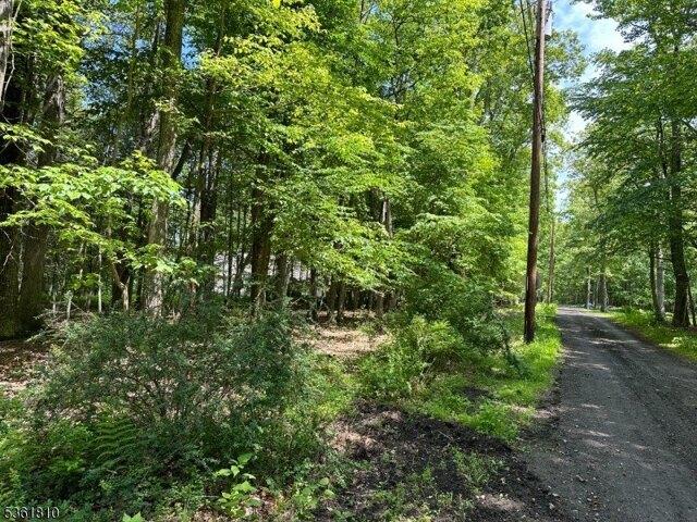 Devita Rd, Sandyston, Plot For Sale