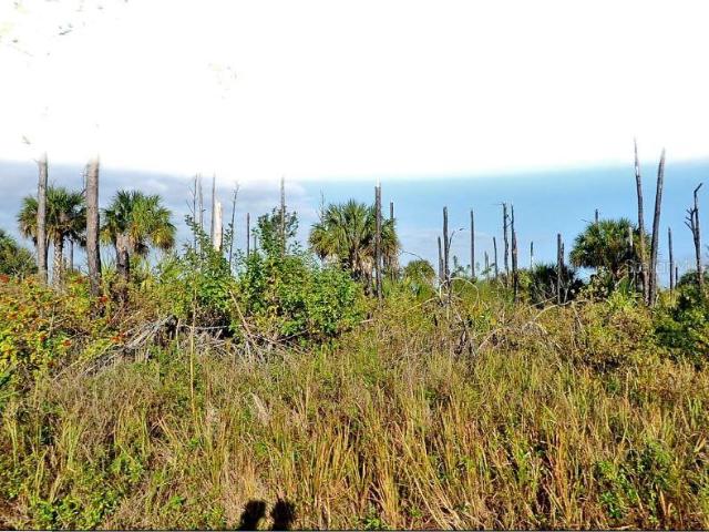Devonia Cir Port, North Port, FL 34288 | MLS #O6185
