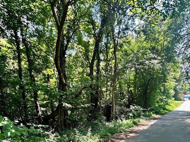 Dewberry Rd, Lewisville, NC 27023