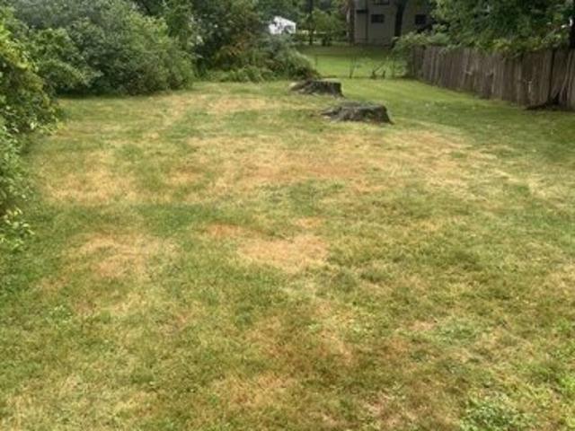 Dewey St, Methuen, Home For Sale