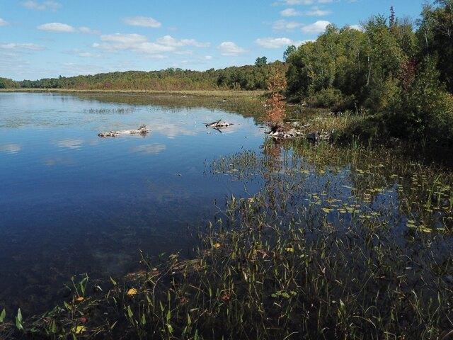 Dexter Rd, Saint Albans, Plot For Sale