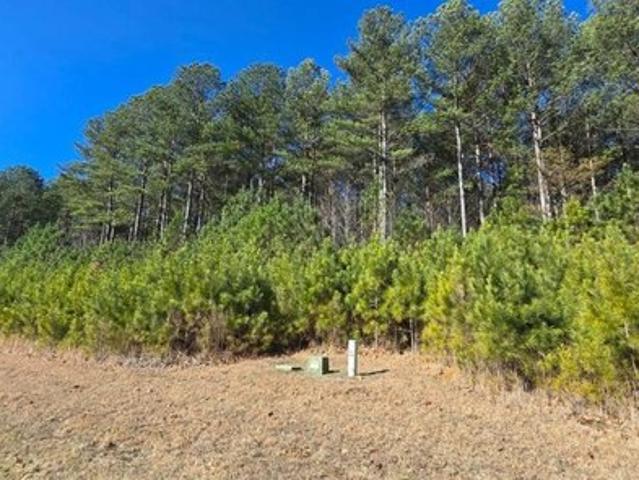 Deyton Dr Lot 41, Blairsville, GA 30512