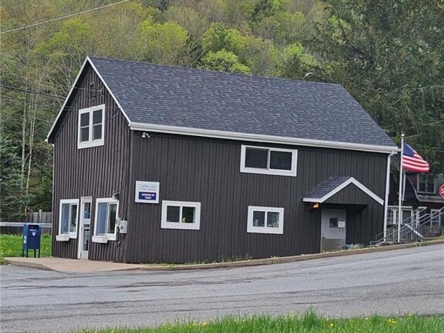 Dimmick Mountain Rd, Denver, Home For Sale