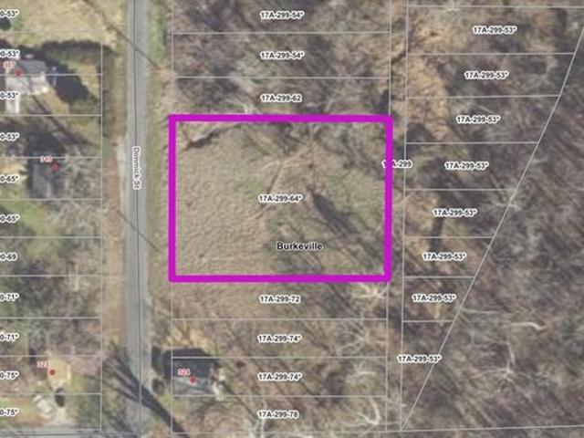 Dimmick St, Burkeville, VA 23922