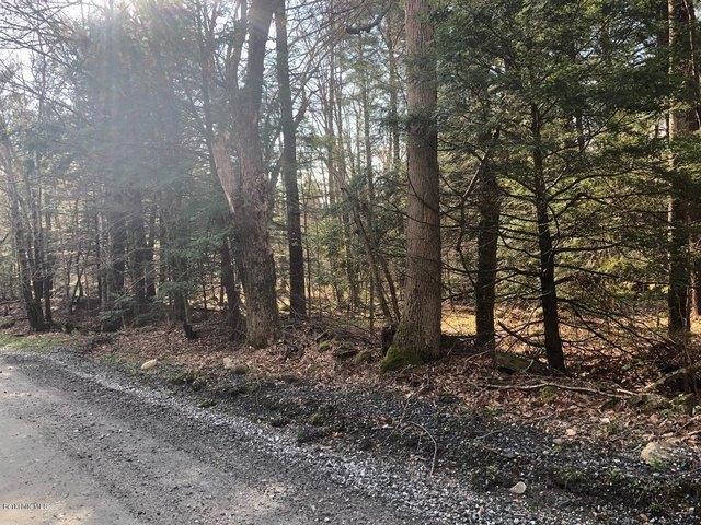 Dimmock Rd, Otis, MA 01253