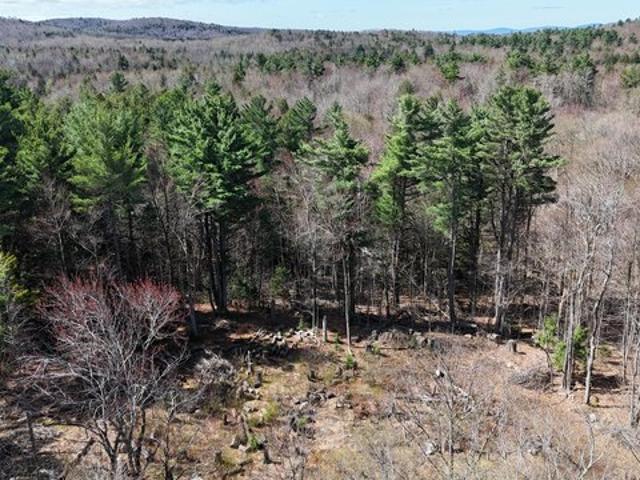 Dimmock Rd Lot 15, Otis, MA 01253