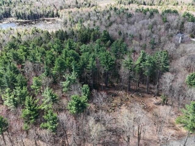 Dimmock Rd Lot,otis, Plot For Sale