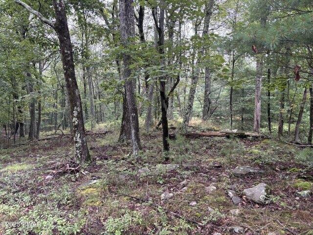 Dingmans Ferry PA 18328 104901966