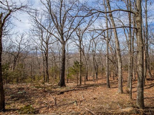 Dinsmore Trl, Fayetteville, AR 72701