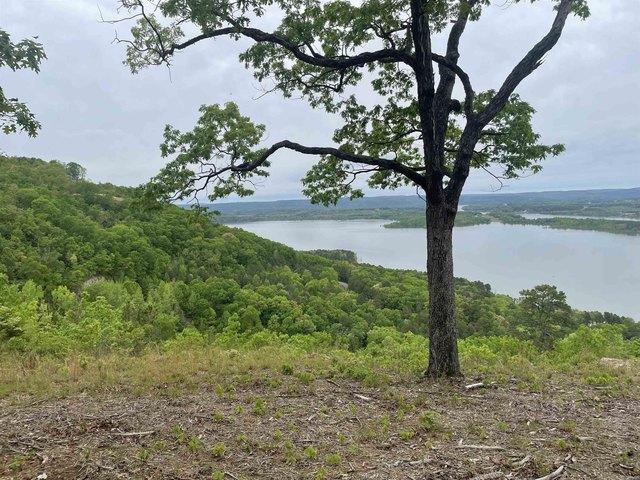 Diamond Bluff Rd, Quitman, AR 72131