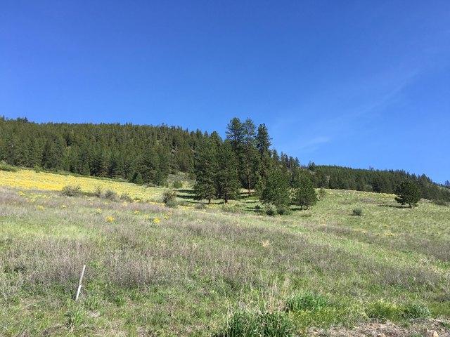 Diamond Ests S Lot 5, Plains, MT 59859