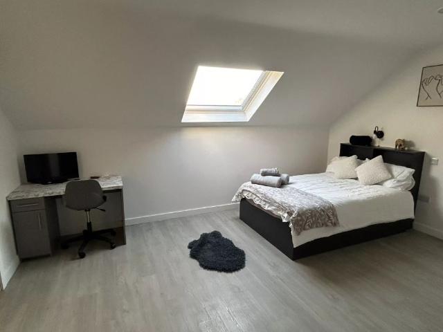 Diamond Plus Studio