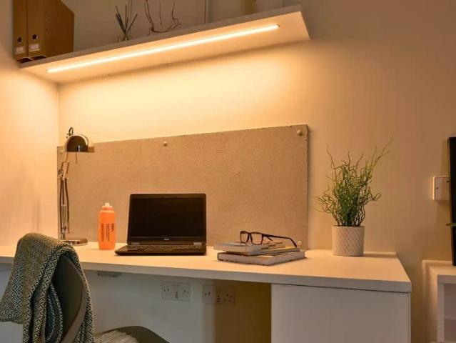 Diamond Plus Studio