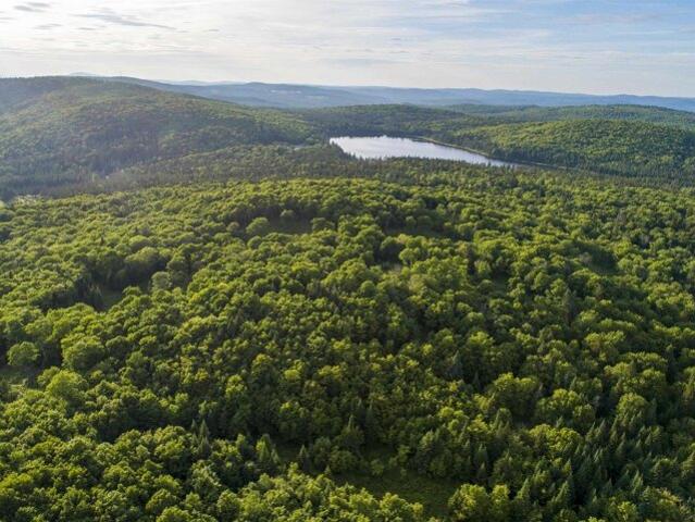 Diamond Pond Rd Lot B, Stewartstown, Plot For Sale