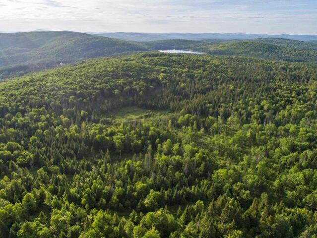 Diamond Pond Rd Lot B, Stewartstown, Plot For Sale