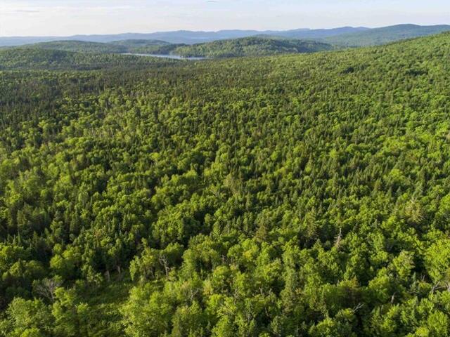 Diamond Pond Rd Lot B, Stewartstown, Plot For Sale