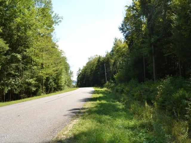 Diamond Ridge Rd, Bolton Landing, Plot For Sale
