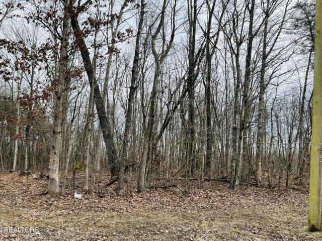 Diane Circle, Crossville, TN 38572