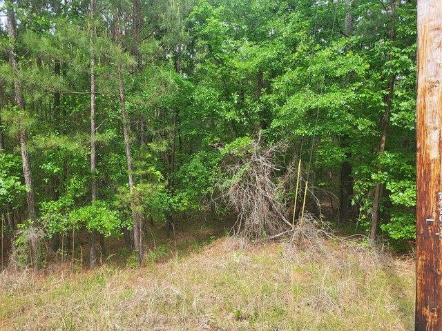 Dianthus Dr Lot 6, Sparta, GA 31087