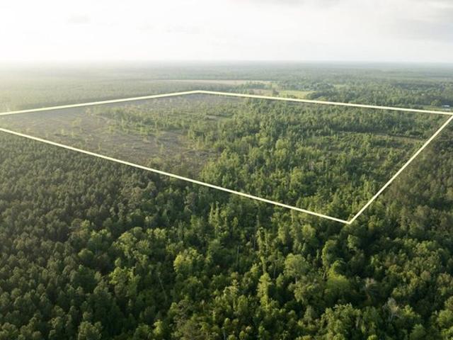Dickerson Rd, Dequincy, LA 70633