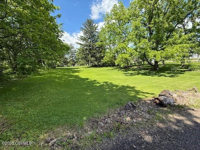 DICKSON Avenue, Danville, PA 17821