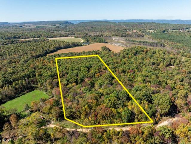 Dickson Rd, Pikeville, TN 37367