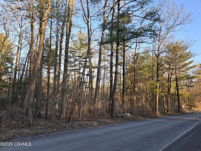 Diehl Rd Lot 4, Mifflinburg, PA 17844