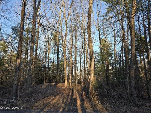 Diehl Rd Lot,mifflinburg, Plot For Sale