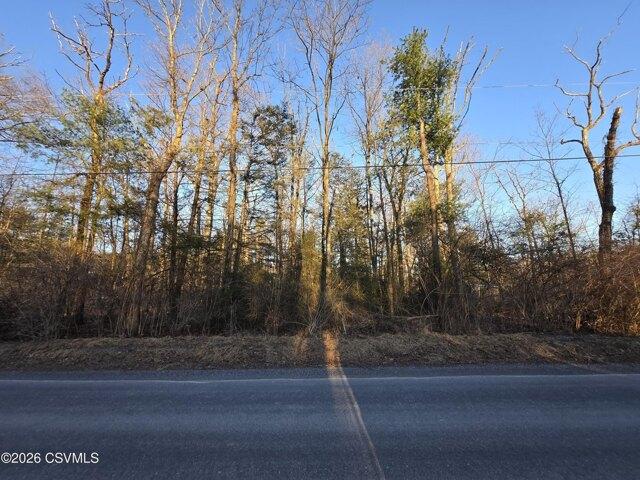 Diehl Rd Lot,mifflinburg, Plot For Sale