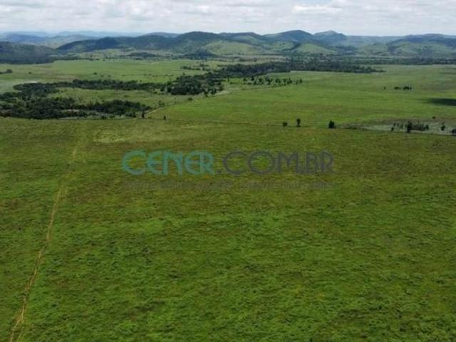 Diferenciada Fazenda de 4.660 ha para agricultura com Irrigação e pecuária