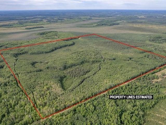 Digs Dr, Wright, MN 55798