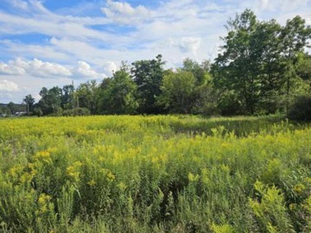 Distillery Hill Rd, Benton, PA 17814