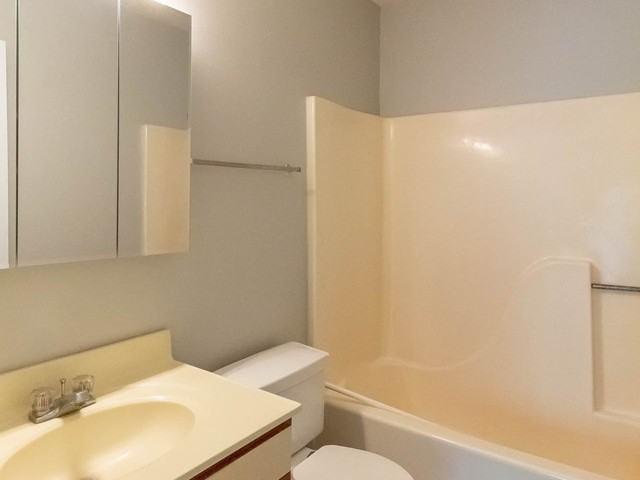 District on Wayne 3 Bedroom Apartment for Rent at 1001 W Wayne St, Muncie, IN 47303