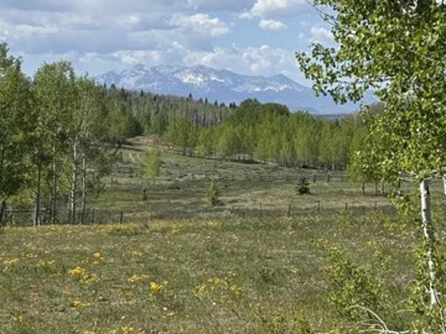 Divide/ Davewood Rd, Montrose, CO 81403