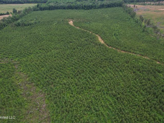 Dividing Ridge Road, Gore Springs, MS 38929