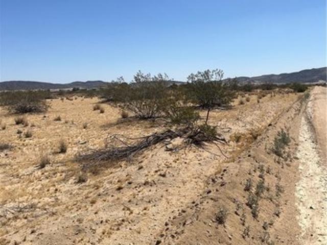 Division, Joshua Tree, CA 92252
