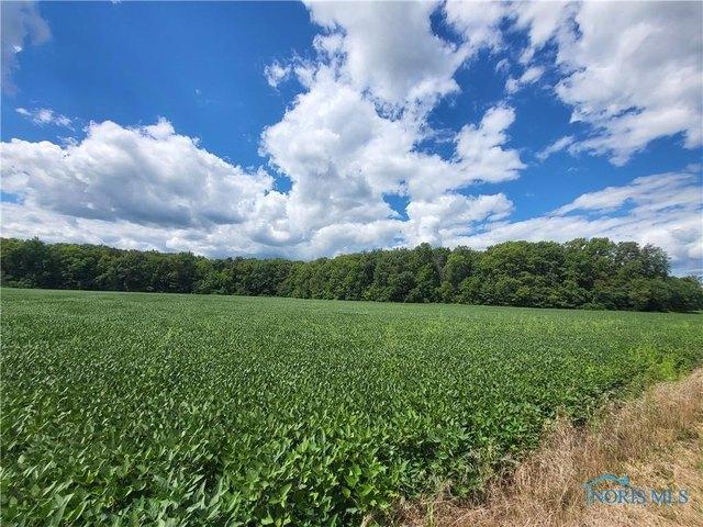 Dixie Hwy, Cygnet, OH 43413