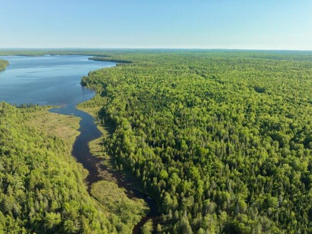 Dixie Rd, Unorganized Aroostook, Plot For Sale