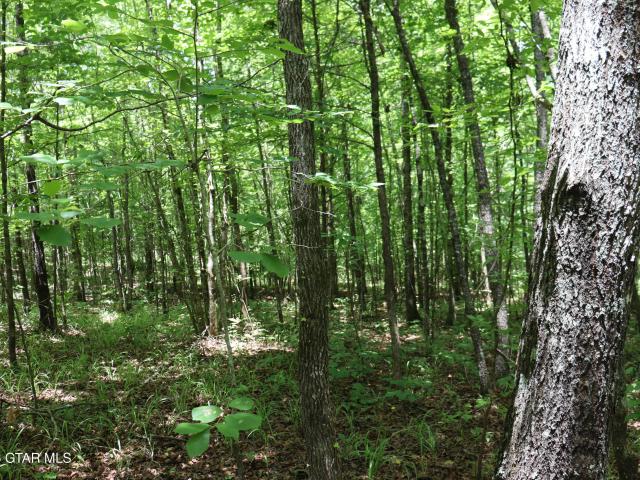 Dixie Road, Woodland, MS 39776