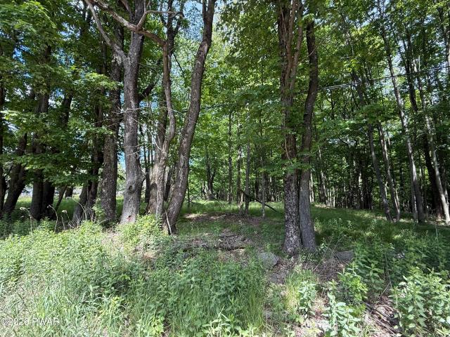 Dixon Valley Road